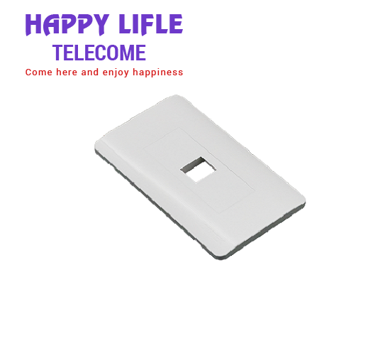 Mặt nạ mạng 1 Port US Style Desinger DINTEK CurvaPlate